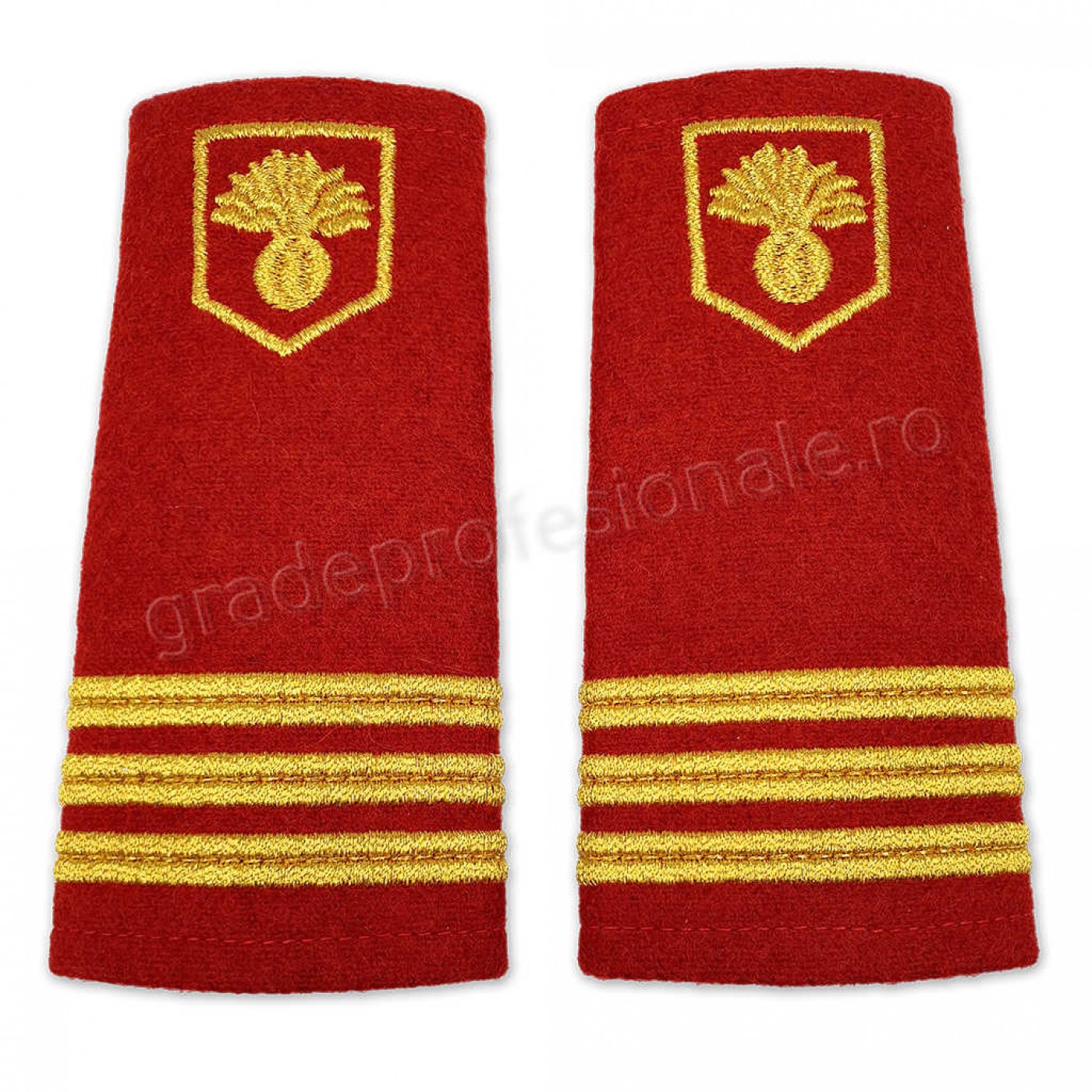 Grade oras ofiteri forte terestre | Grade-profesionale.ro